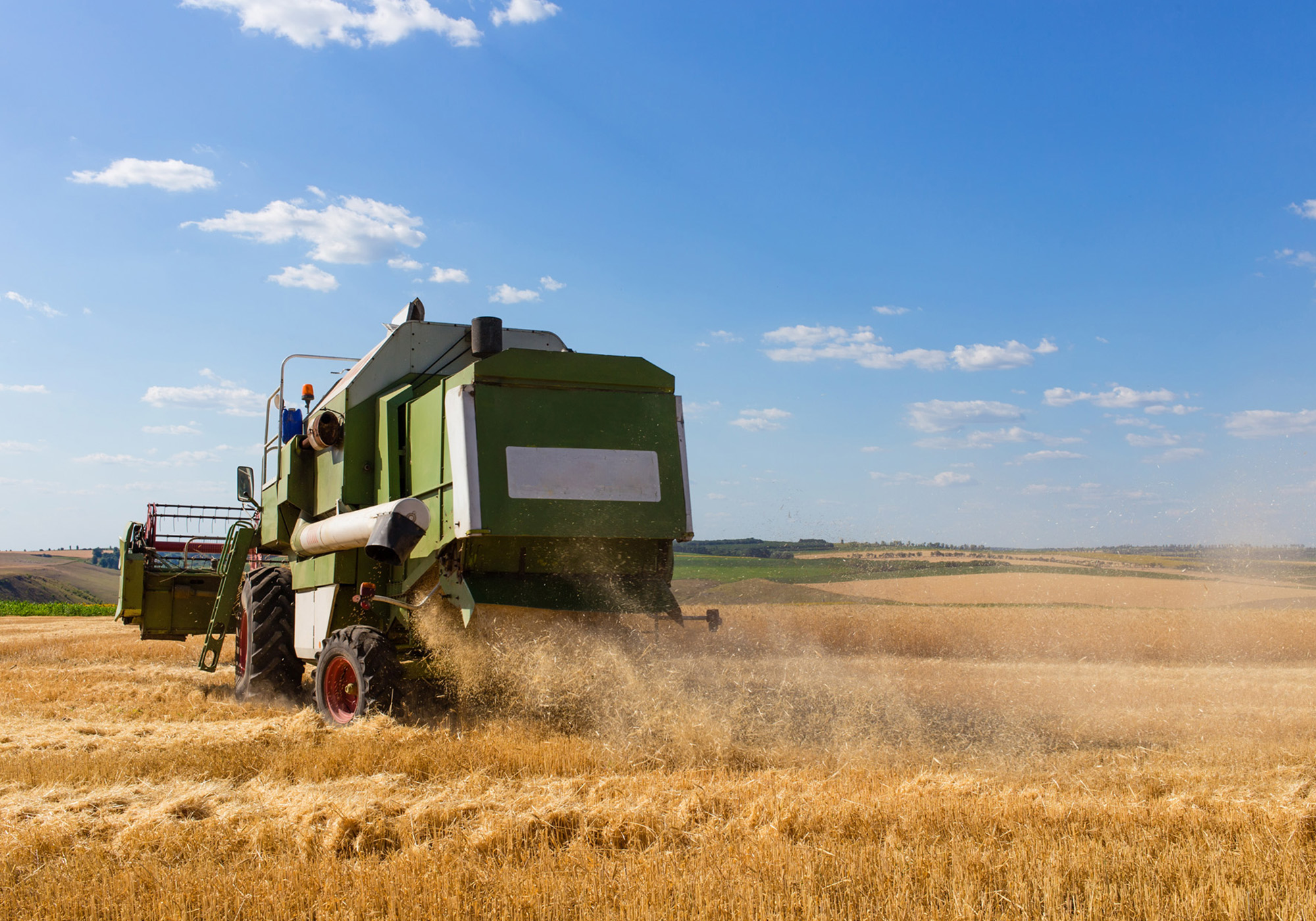 Grain processing - Ottevanger